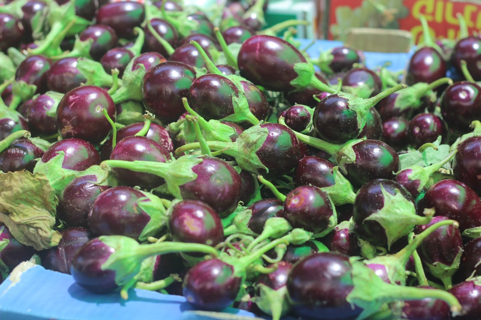 A Melting Pot: Farming and Food