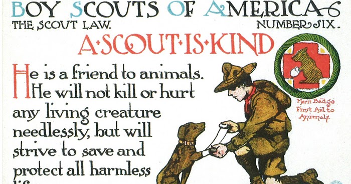 Cub Scout Pack 1910, Keller, TX: A Scout is Kind