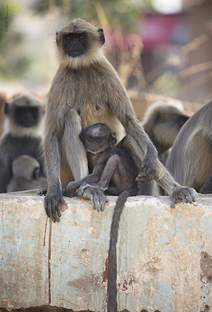 Every journey begins with a single step...: Intoxicating nature and ...