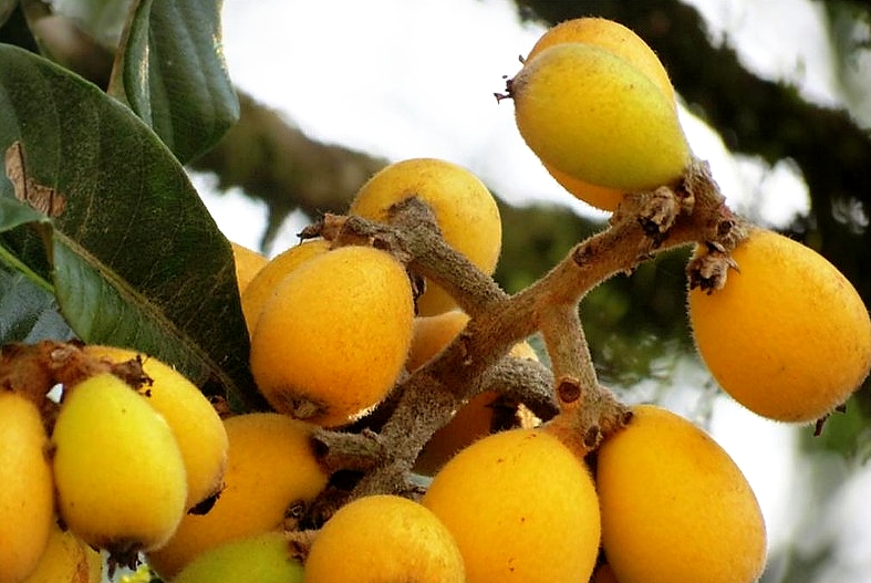Natureza, Perfeição sem tamanho...