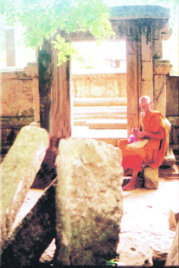 Buddha was born in Heladiva - Preface ~ Buddha Lived in Sri Lanka