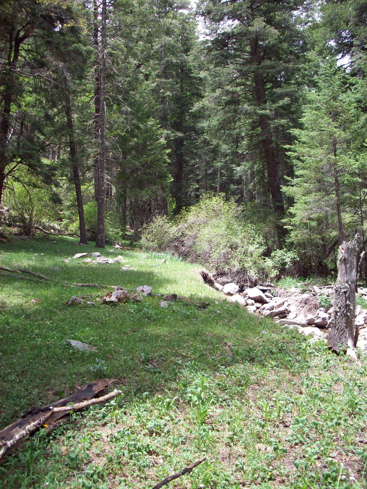 Southern New Mexico Explorer: Three Rivers Revisited-Lincoln National ...