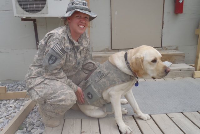 Labrador Retriever Soldiers