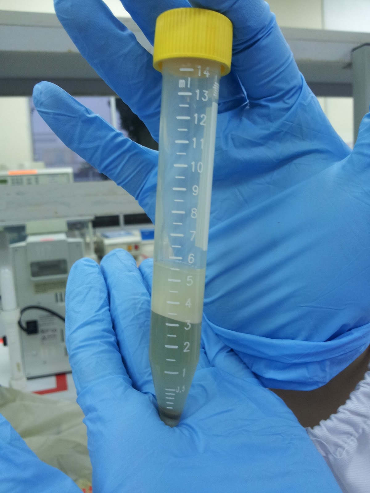 Laboratory Reports of TF II: Report 1 : Emulsion