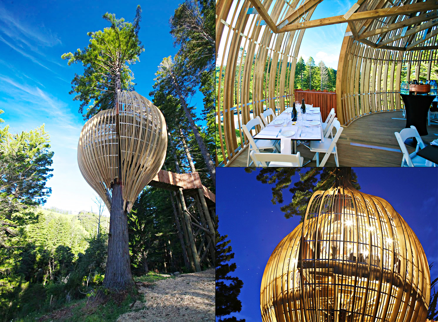 Restaurantes exóticos: Tree House Restaurant (Nueva Zelanda)