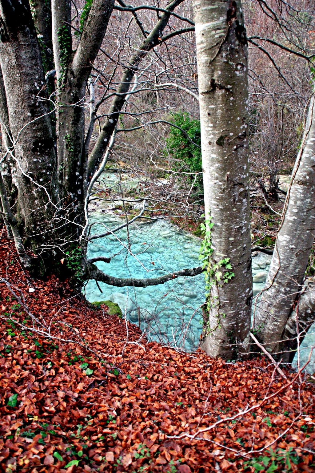 Los Lugares Más Increibles del Mundo*-._: 23 - Urederra, un río Turquesa.