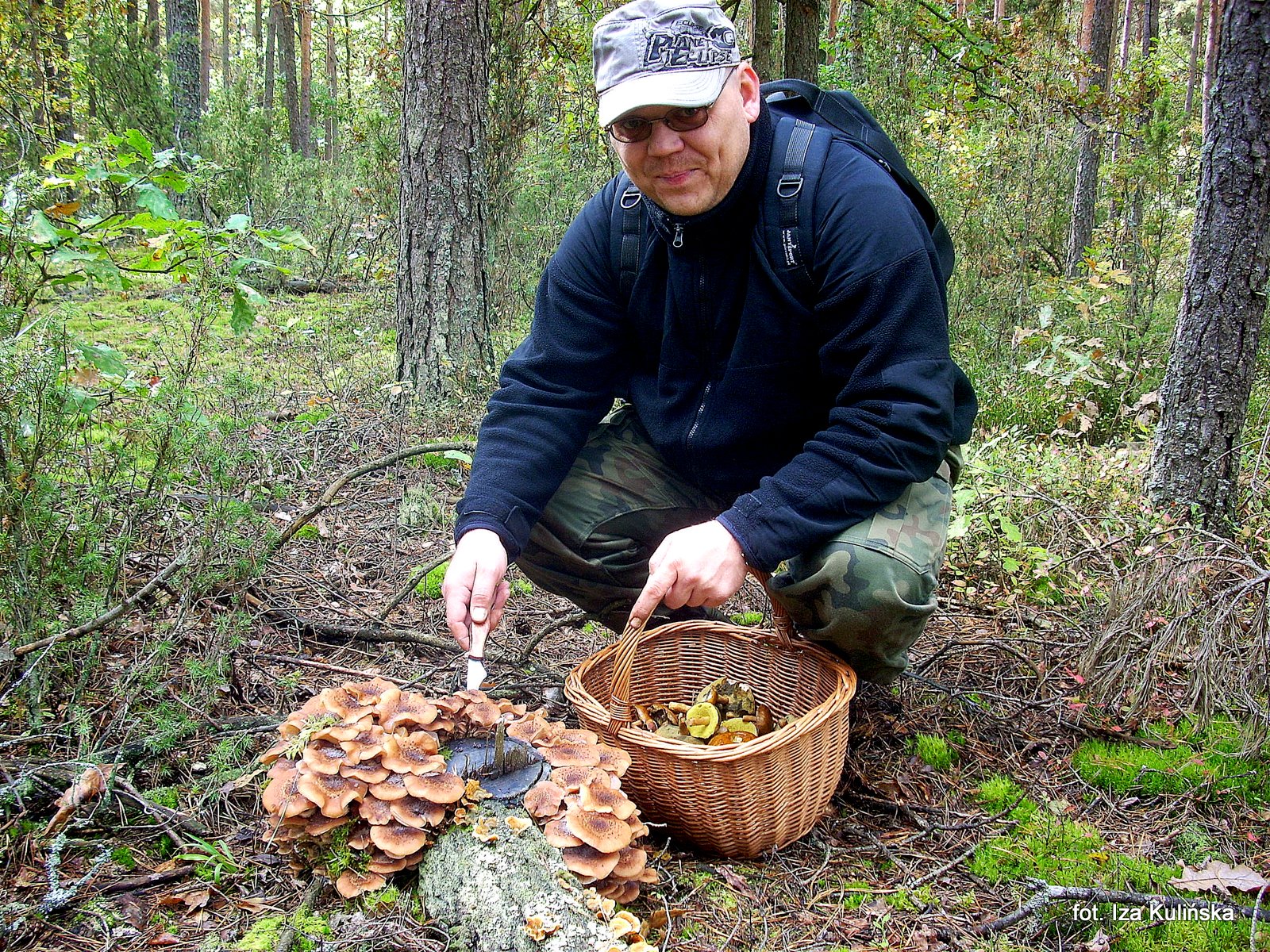 Idziemy na grzyby. Jaki nożyk wybrać do oczyszczania grzybów ...