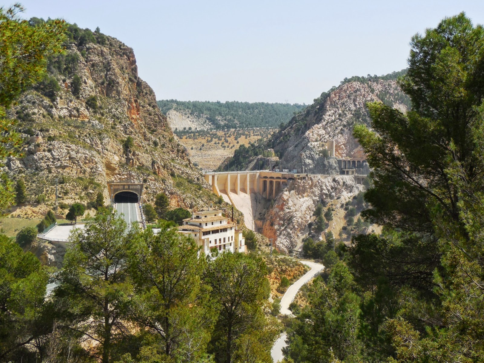 BIÓLOGO Y BECARIO: El ala este