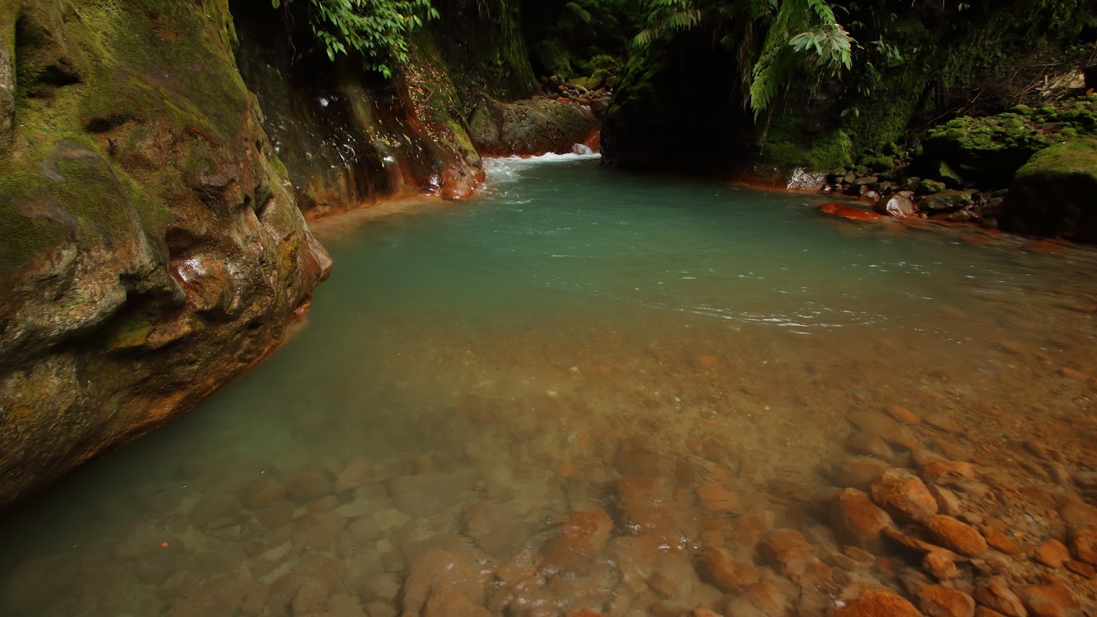 Taman Nasional Gunung Halimun Salak: Mengunjungi Curug Ciparay Muara ...