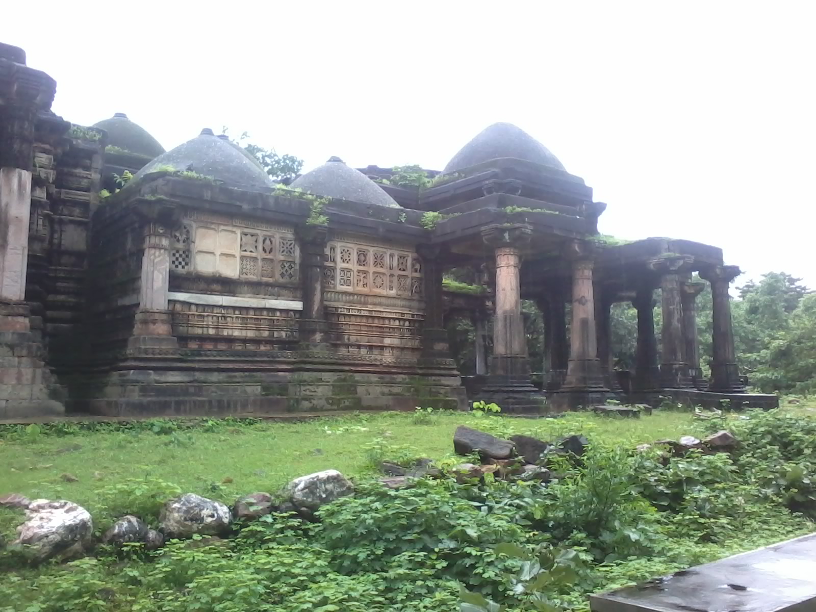 INCREDIBLE NATURE: POLO FOREST VIJAYNAGAR, SABARKANTHA.