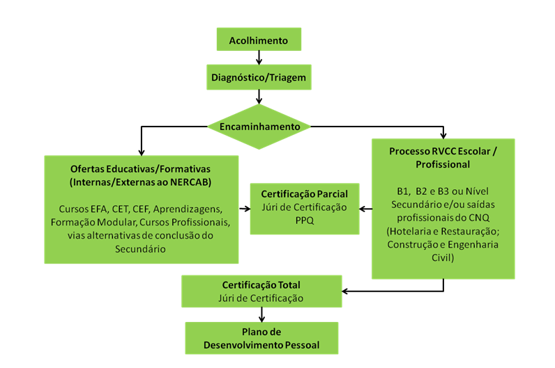 Centro Novas Oportunidades - RVCC: Fases do Processo