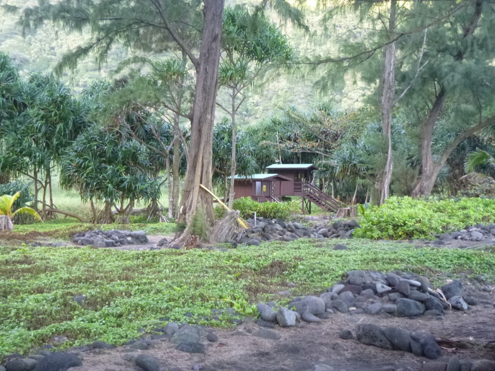 Hawaii Islands Basics: Waimanu