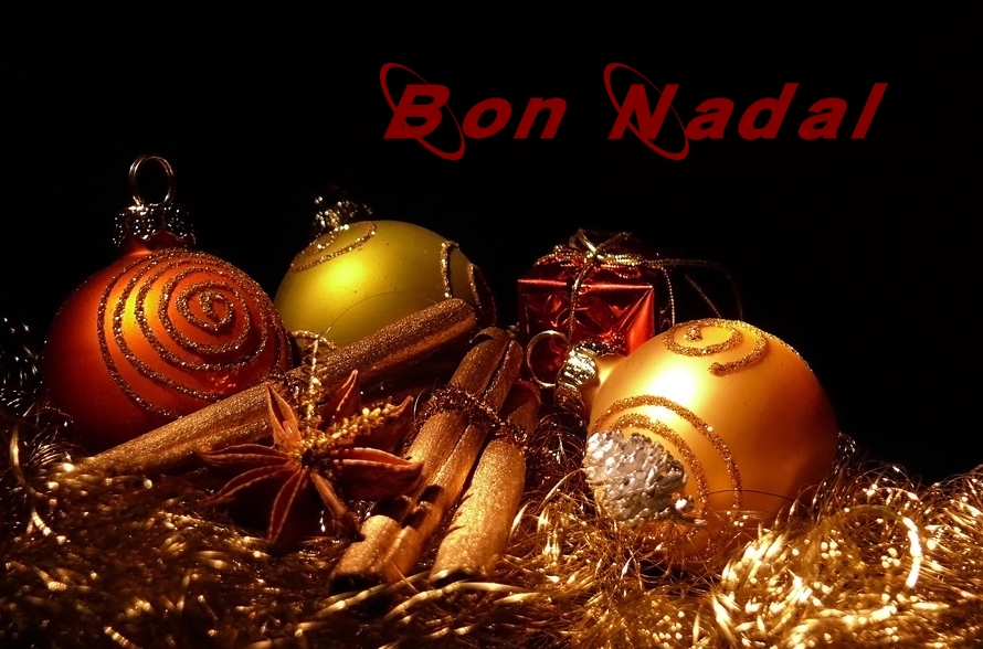 ARCA: Bon Nadal!!!!