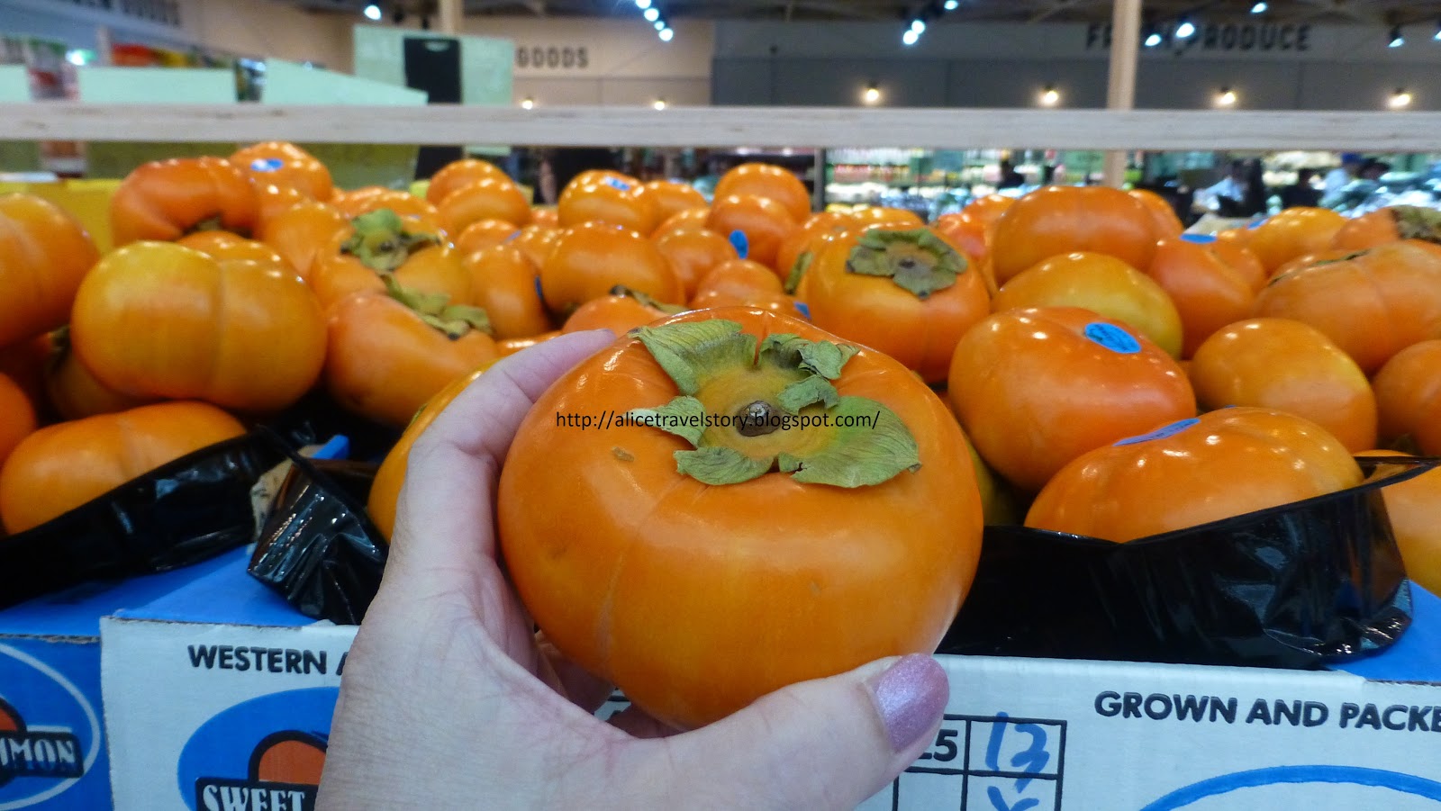 Alice Travelogue: Perth, Western Australia Trip 2019 - Day 1 ...