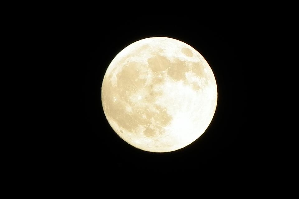 A Pagan Tapestry: December Full Moon, Oak Moon