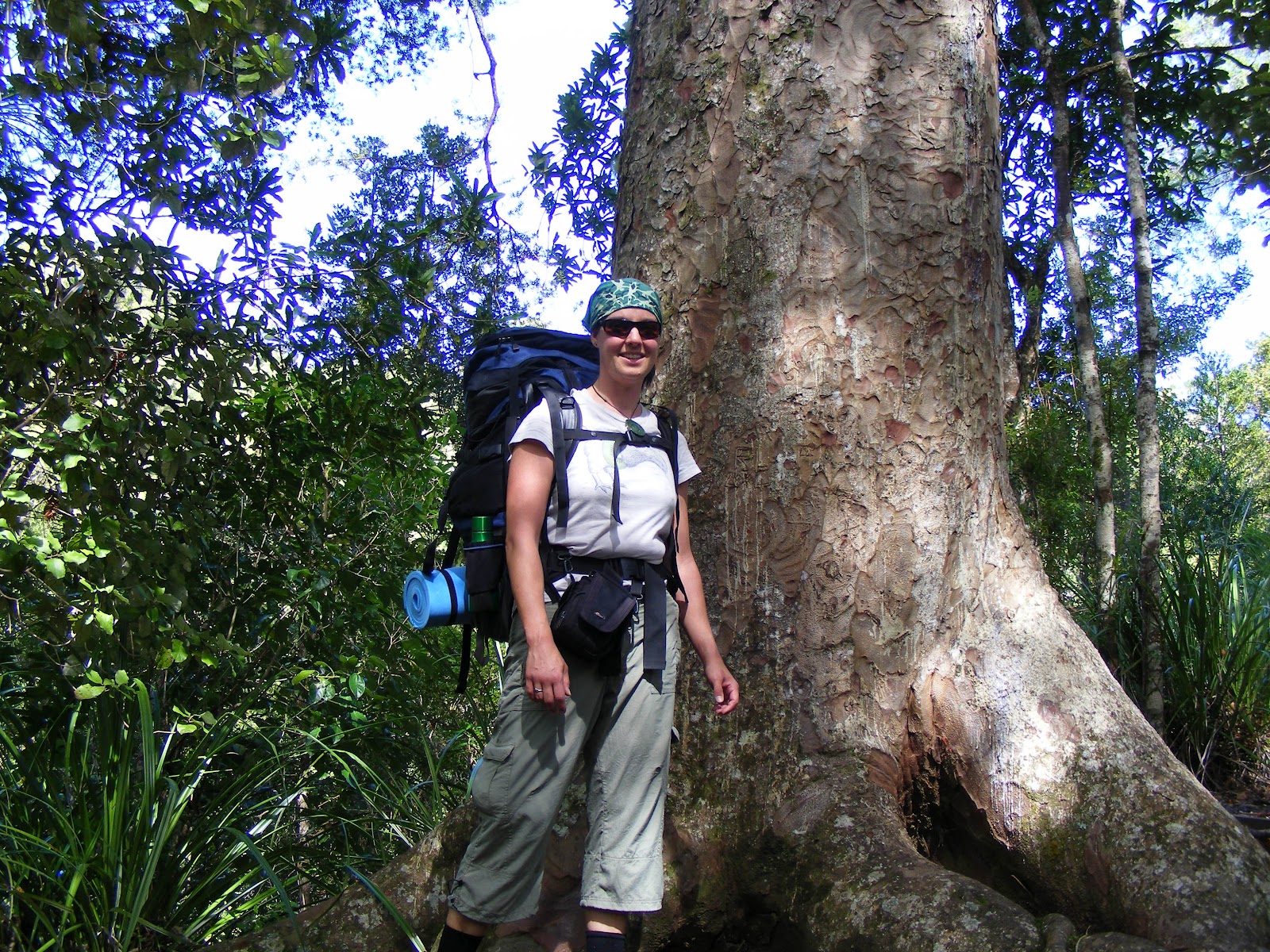 The Life and Adventures of Mel: Crosbie's Hut: Weekend Tramp
