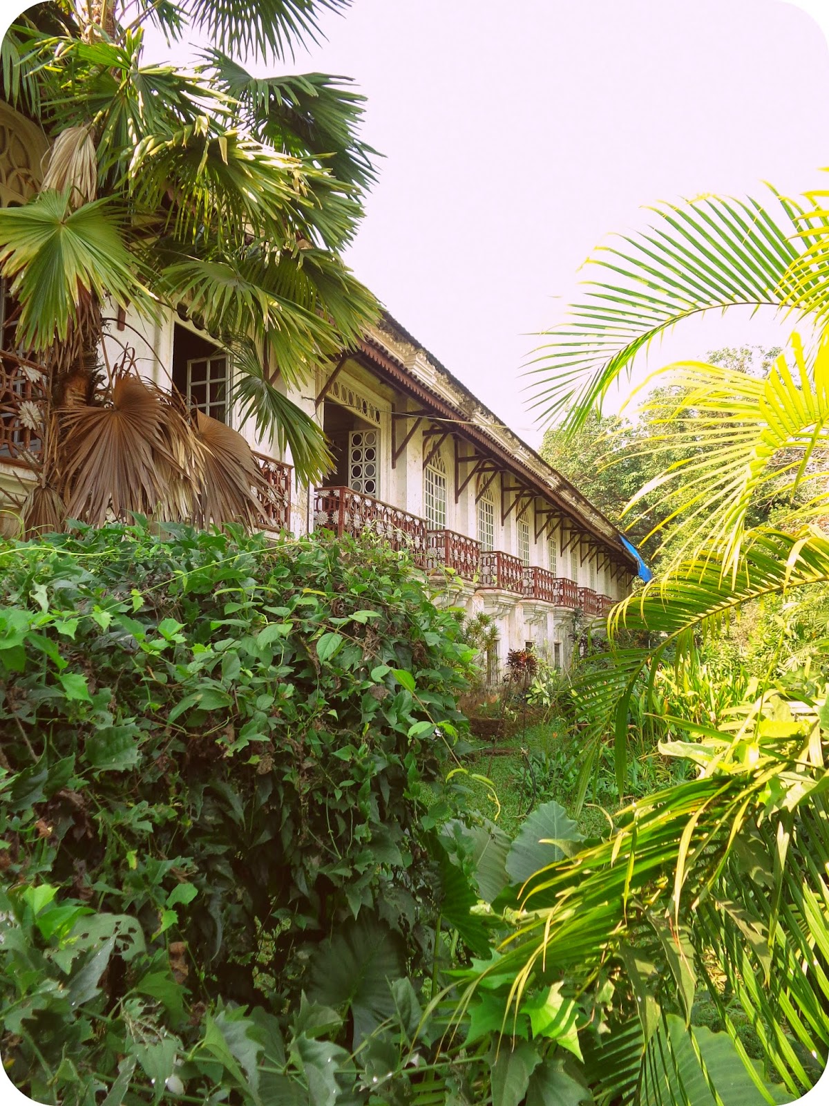 Vintage Vixen: The Palace In The Jungle - Adventures in Goa & Beyond