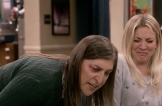 The Big Bang Theory - The Sibling Realignment - Review: "Brotherly Love"