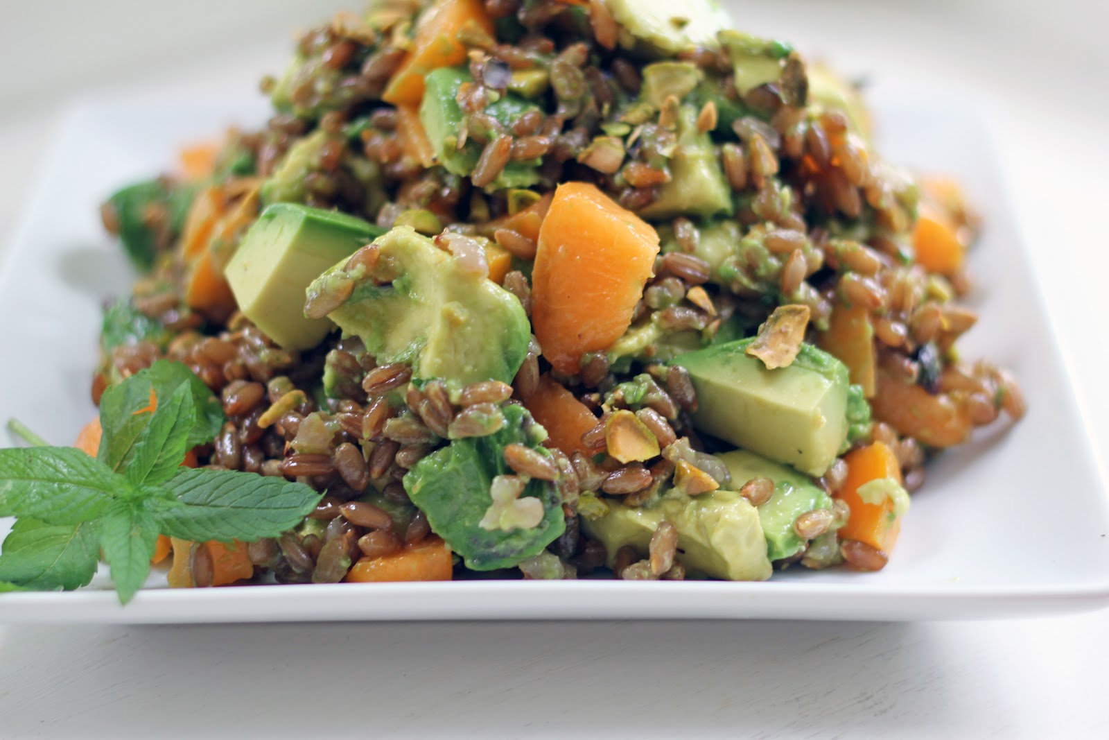 Blue Kale Road: Avocado and Apricot Rye Berry Salad