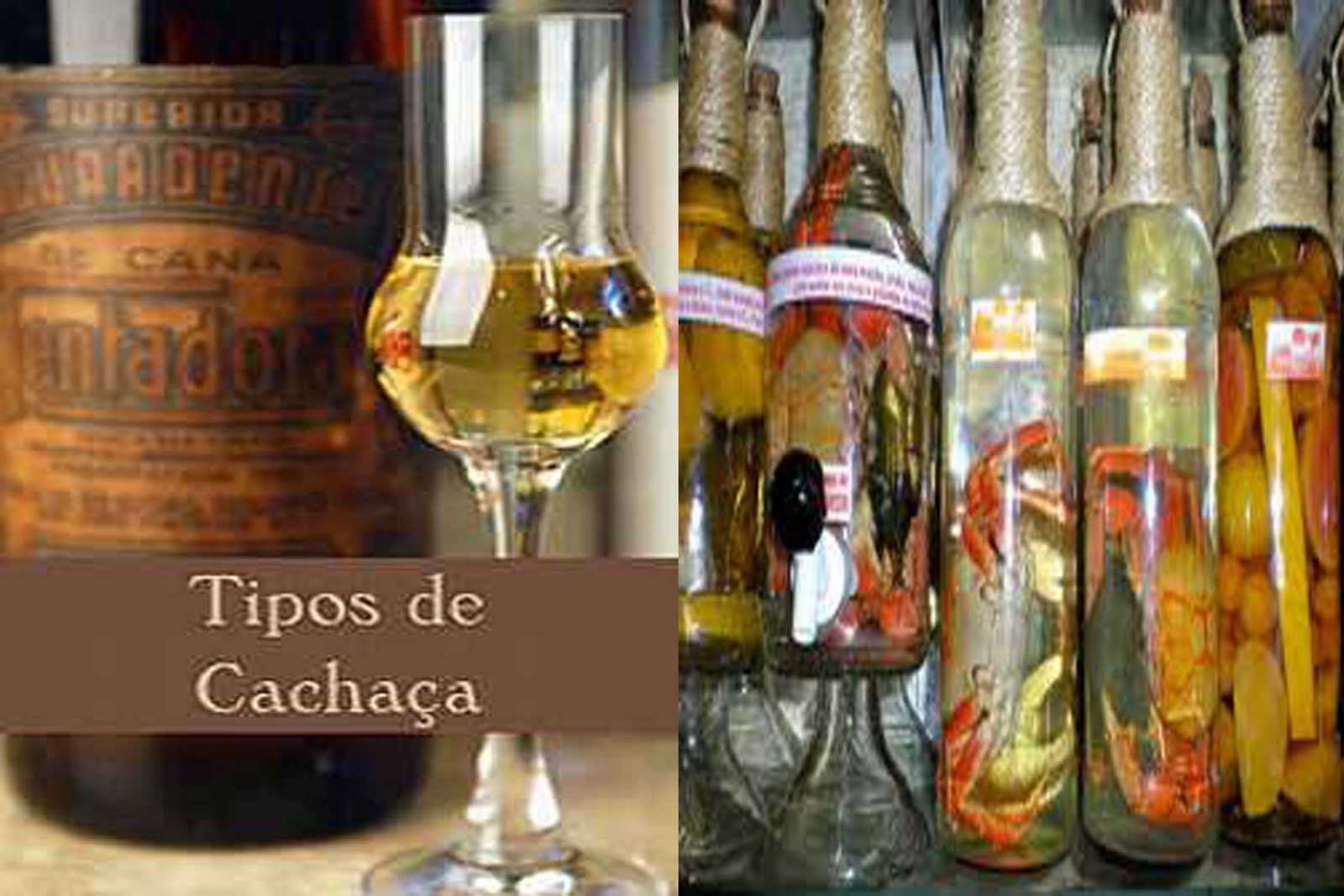 La Cachaza o Cachaca en portugués, origen, destilación, tipos de ...