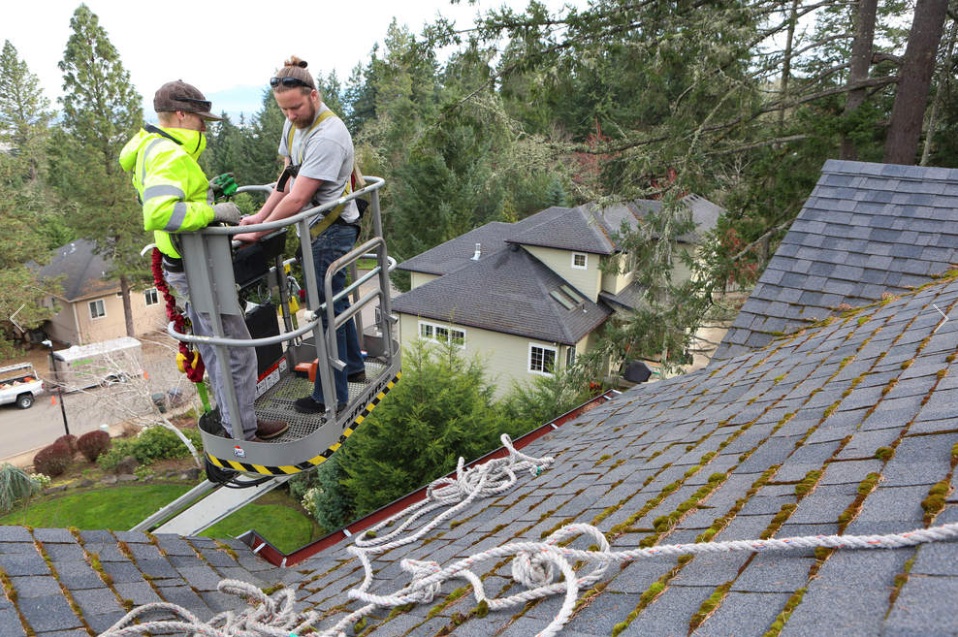 Robinson-Solutions Professional Window Cleaning: Spring Gutter & Roof ...