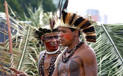 TAMBOR DOS BOTOCUDOS: O caso do carbono indígena e as lições aprendidas