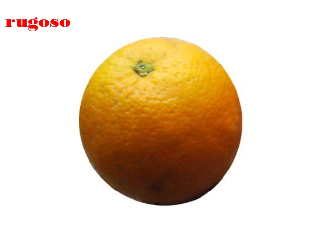 INFANTILES DE ANA V.: CONCEPTOS: LISO/RUGOSO