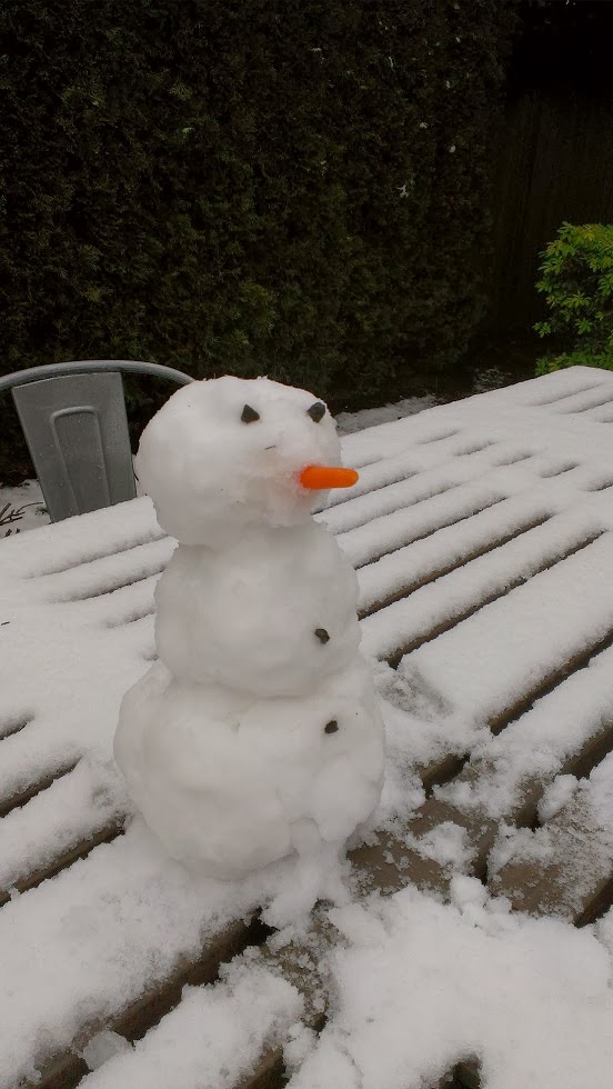 Modern Cottage: Tiny Snowman