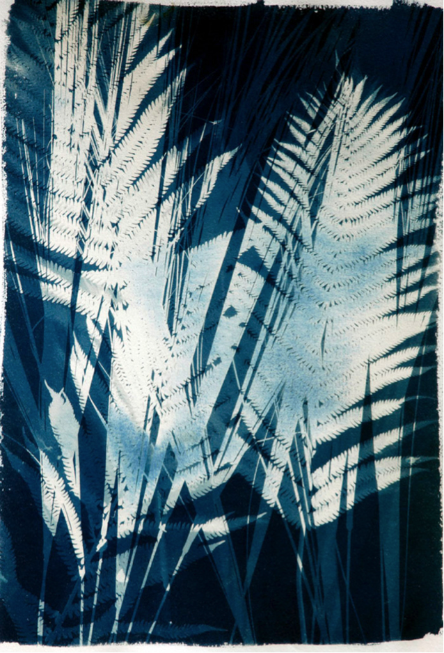 Arts Day 2016!: Cyanotypes