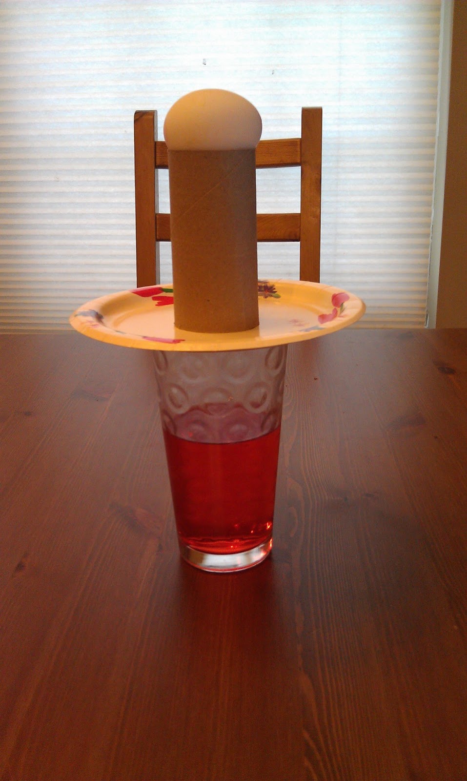 The Cool Science Dad: Newton's First Law - With an Egg