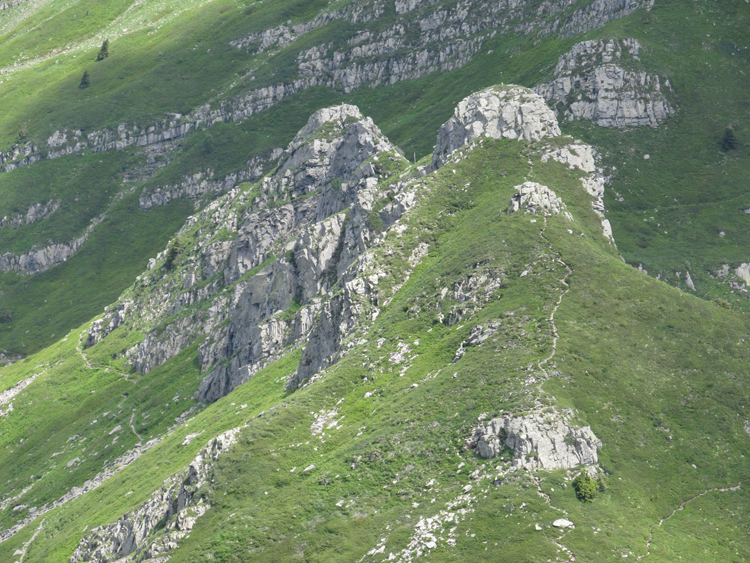 Escursionismo a 360°: Alpe Tre Potenze e Gomito (per il Lago del Greppo) EE