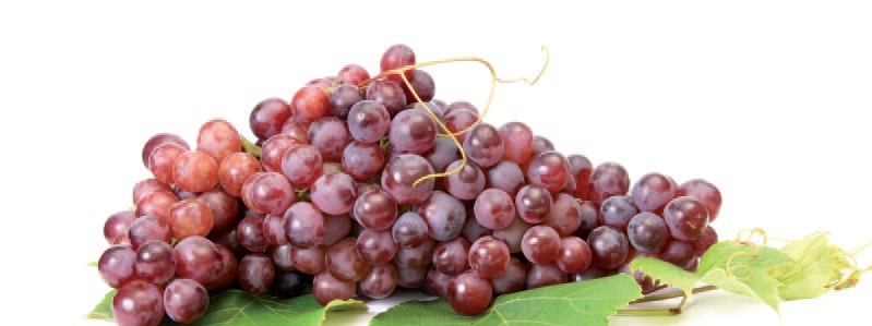 Associação Cultural do Povo Búlgaro no Brasil - Bulgari: Gastronomia