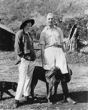 Fast Film: SIGHTHOUNDS in HAPPY VALLEY