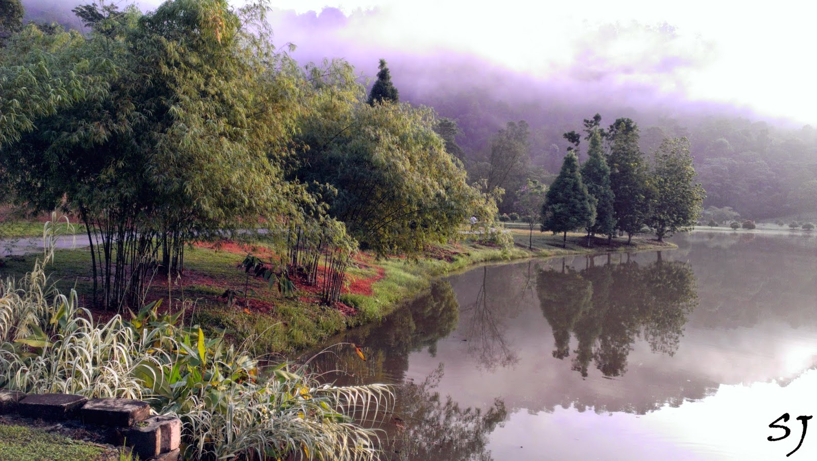 My Palace, My symphony of life and the rhythm in My heart: With Mother ...