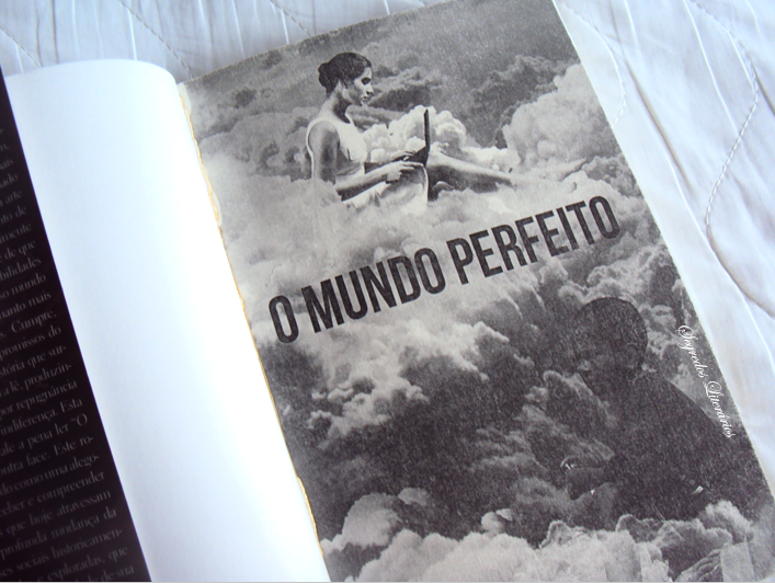 Segredos Literários: Resenha l O Mundo Perfeito - Claúdia Marczak