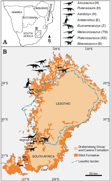 Equatorial Minnesota: Ledumahadi mafube
