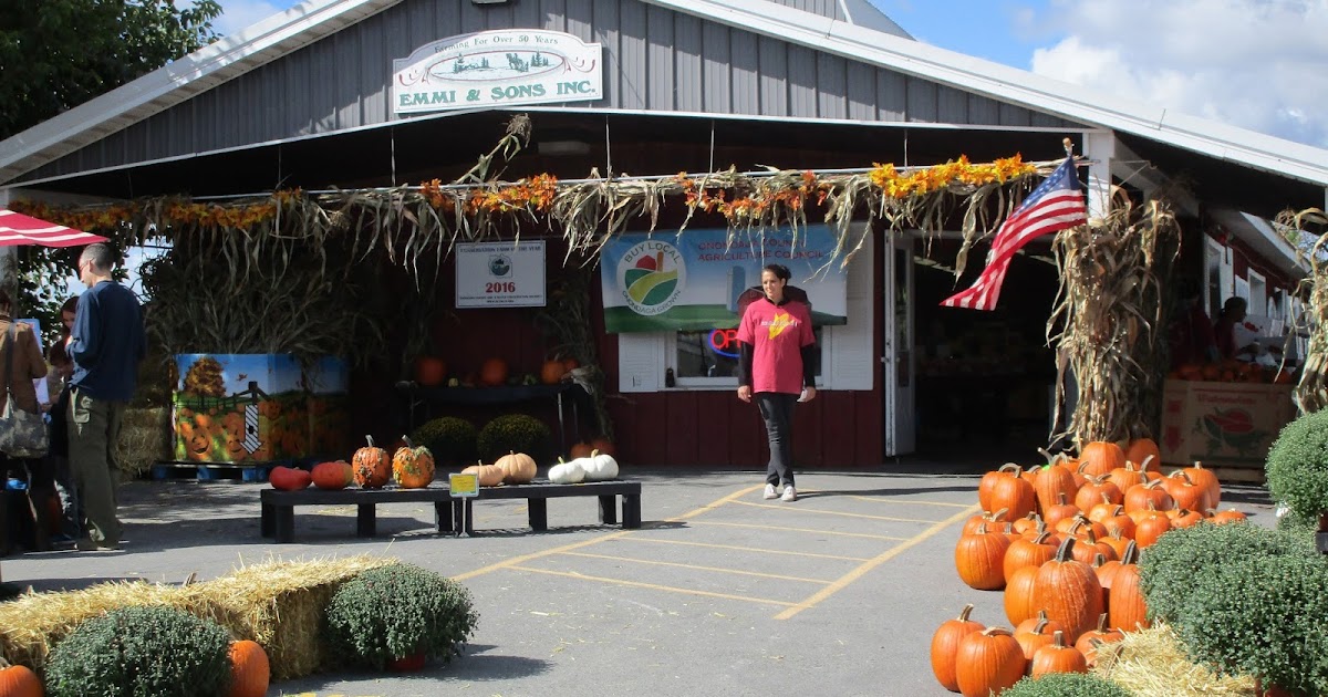 Empire State Farming: Emmi & Sons Named Conservation Farm of the Year ...