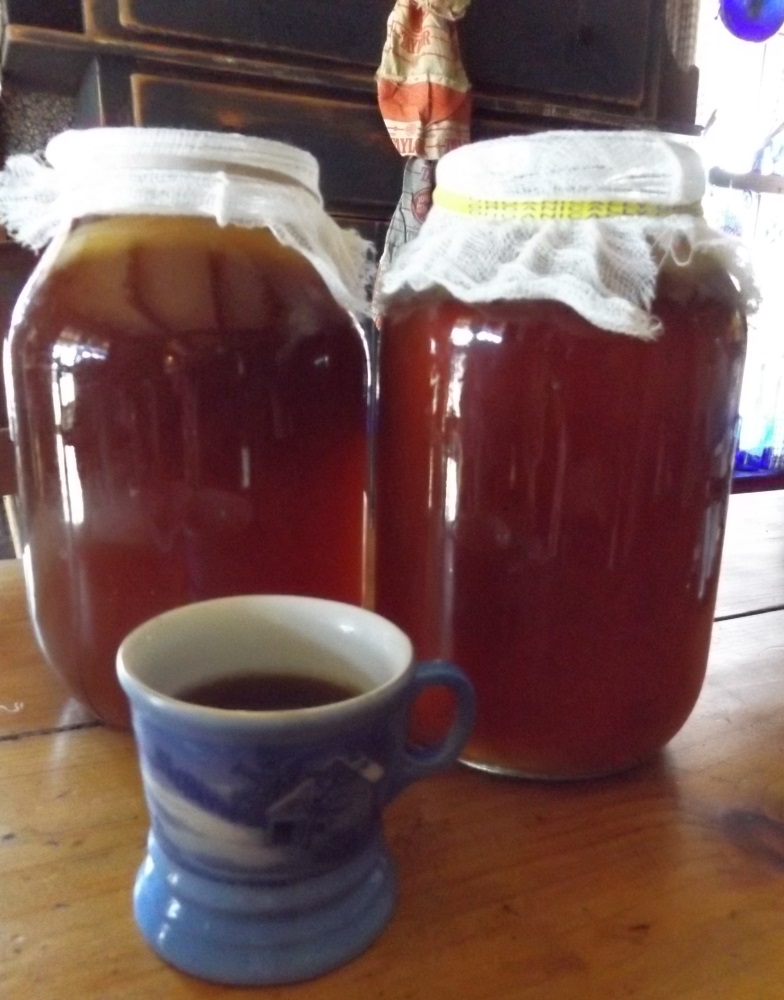 Wildenblue Farm Journal: Making Kombucha