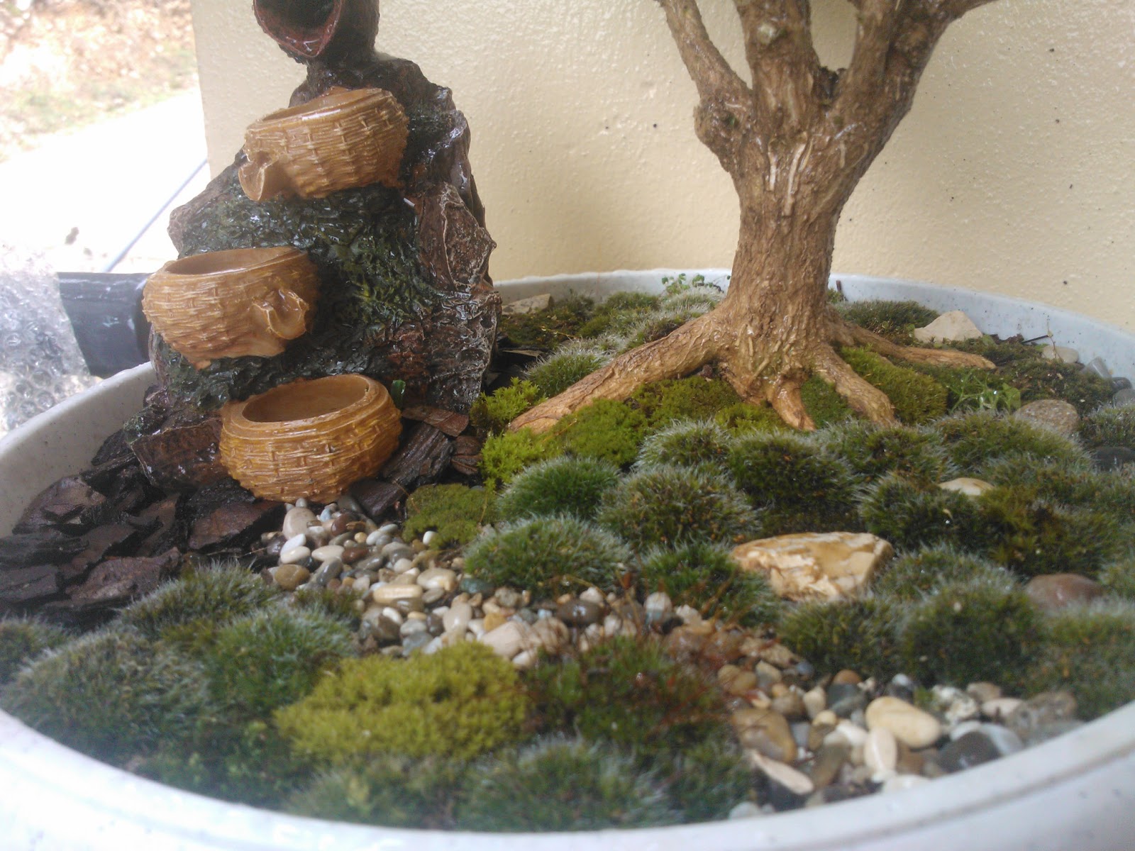Μy bonsai trip~~~~~~~~