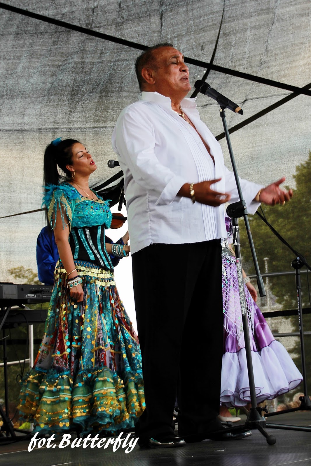 Foto Blue Butterfly: DON WASYL