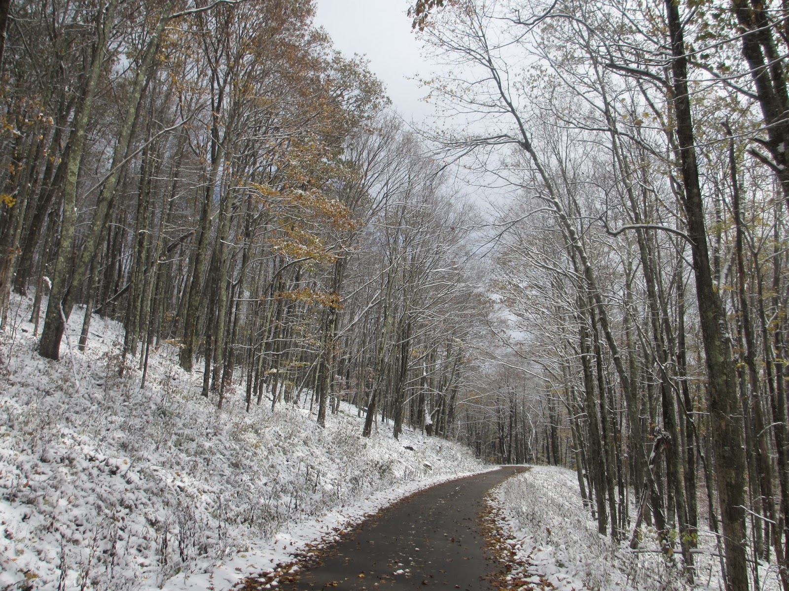 Cannundrums: Spruce Knob - High Point of West Virginia