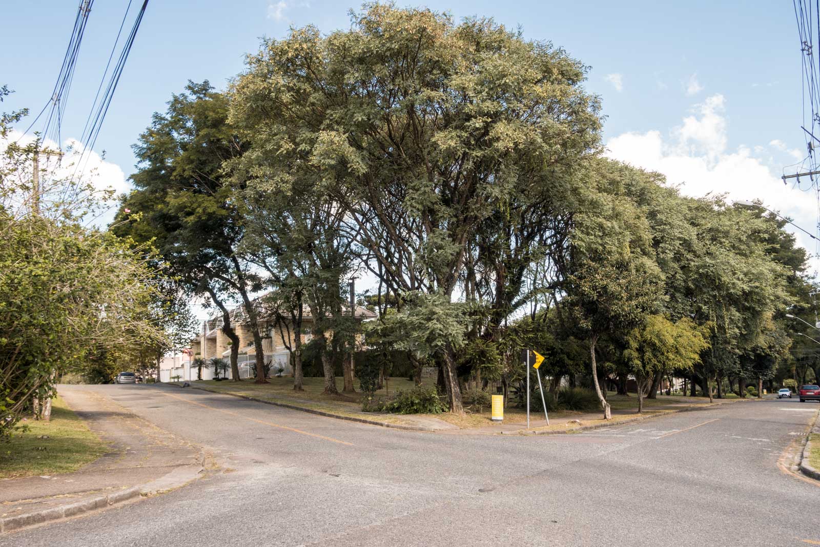 Fotografando Curitiba: Praça Ercílio Slavieiro