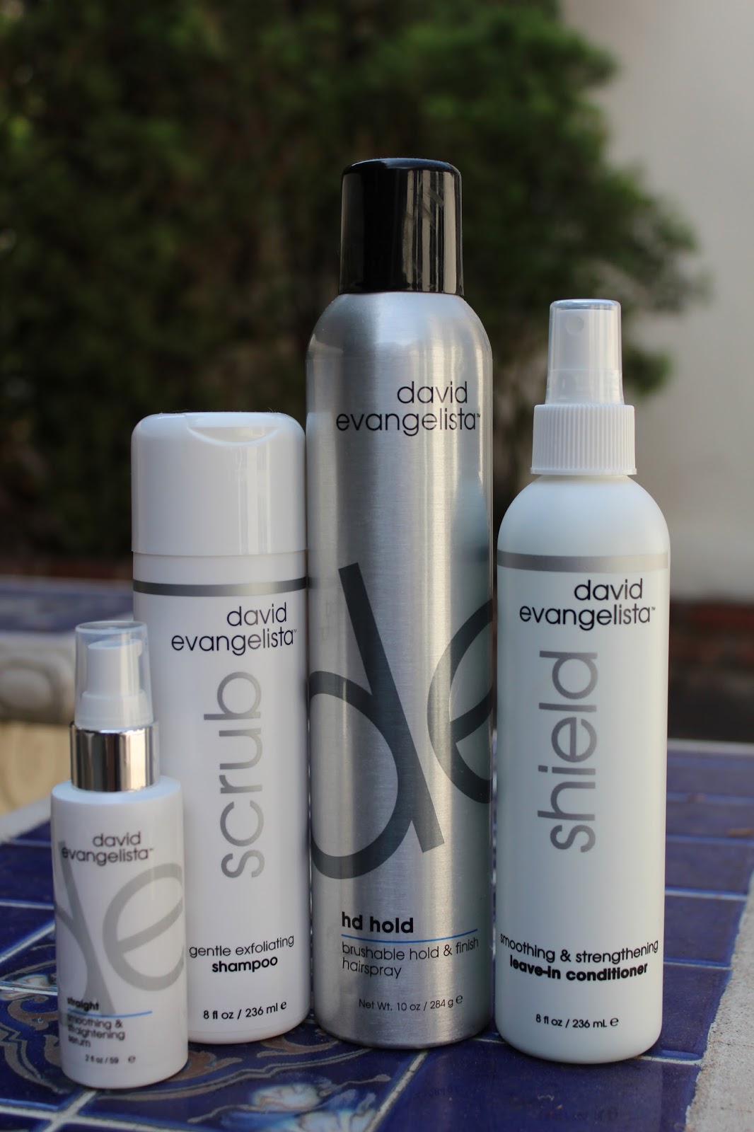 meganscribbles: David Evangelista Scrub shampoo, HD Hold hairspray ...