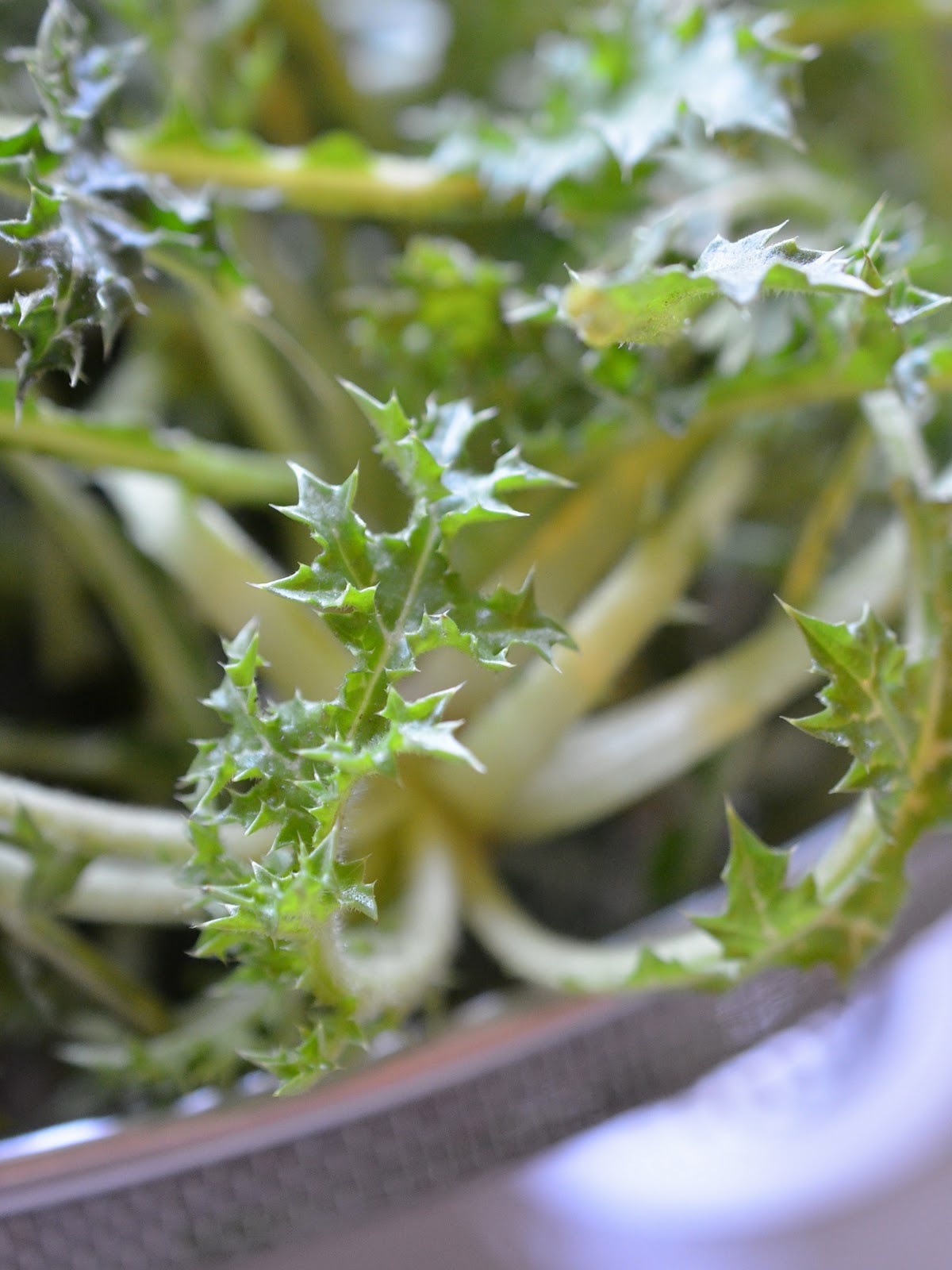 Jurnal de gradina: Scaieti dulci