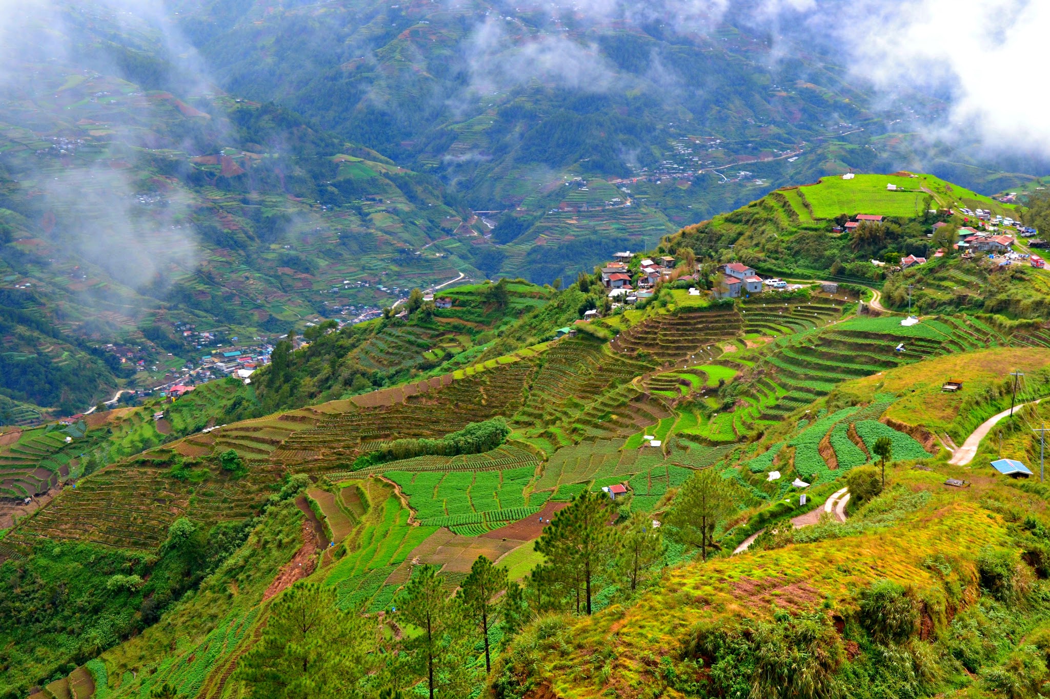Amgaleyguey Vegetable Terraces - Benguet