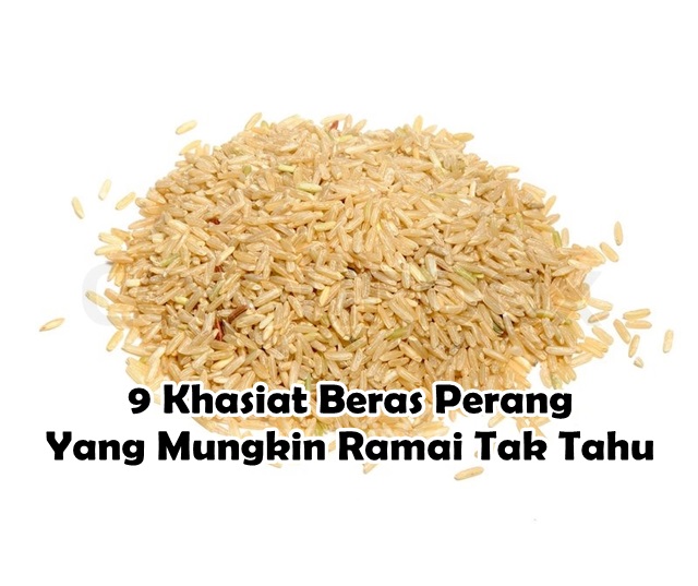 Maria Firdz | Lifestyle Blogger