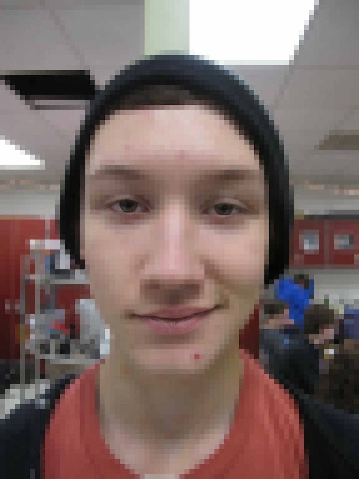 Beginners Photo Blog: Pixel Faces