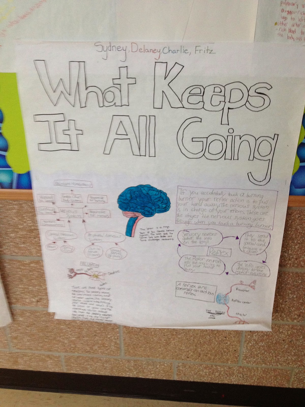 Visible Thinking Routines: THINK- PUZZLE-EXPLORE: Investigating Human ...