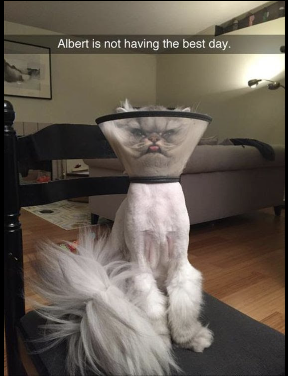 Things that are Funny (100 Pics) - YourDestinationNow