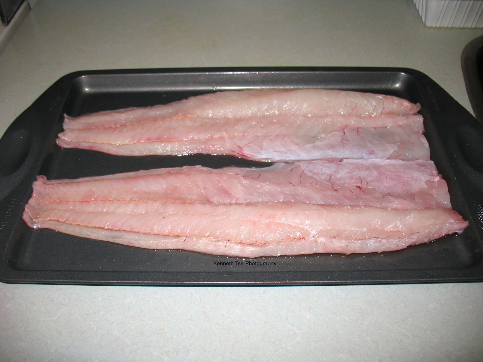 MuskieBait Adventures: Zero dark burbot